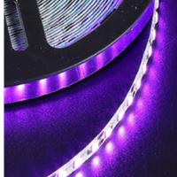 China CCIP Purple UVA UVC LED Strip 12V / 24V IP20 / IP65 Waterproof 5050 SMD 20m/Roll for sale