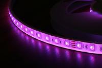 China 5050 IP68 RGB Color Changing LED Strip Lights For Outdoors And Marine Lighting for sale