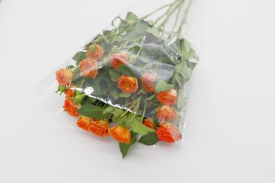 China Transparent Plastic OPP Packaging Bag 180 Microns Oil Proof for sale