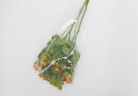China Transparent Plastic OPP Packaging Bag 180 Microns Oil Proof for sale