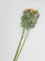 China Clear Cellophane OPP Packaging Bag Bouquet Wrapping Sleeve Fresh Flower for sale
