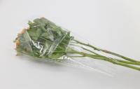China Clear Cellophane OPP Packaging Bag Bouquet Wrapping Sleeve Fresh Flower for sale