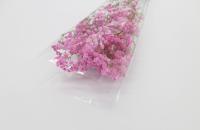 China Fresh Flower Salad OPP Packaging Bag Biodegradable Printed Self Adhesive for sale