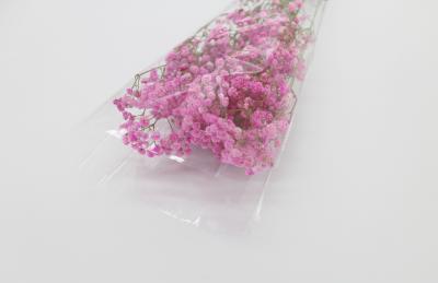 China Fresh Flower Salad OPP Packaging Bag Biodegradable Printed Self Adhesive for sale