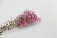 China Fresh Flower Salad OPP Packaging Bag Biodegradable Printed Self Adhesive for sale