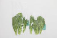 China Custom Plastic Clear Packaging Bag Resealable Self Adhesive Opp Cellophane Seal for sale