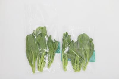 China Custom Plastic Clear Packaging Bag Resealable Self Adhesive Opp Cellophane Seal for sale