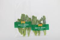 China Custom Plastic Clear Packaging Bag Resealable Self Adhesive Opp Cellophane Seal for sale