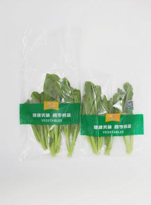 China High Barrier Clear OPP Packaging Bag With Self - Adhesive Tape 180 Micron for sale