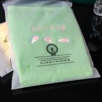 China Biodegradable Plastic Zip Lock Clothing Packaging Bag Clear Ziplock Bags for sale