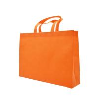 China Printed Non Woven Bag Supermarket Eco Reusable Shopping Tote Bag for sale