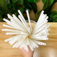 China Biodegradable Disposable PLA Straw Plastic Drinking Straws For Hot Drinks for sale