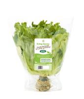 China Vegetable Salad OPP Packaging Bag Biodegradable Printed Self Adhesive for sale