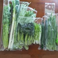 China Reusable Clear Ziplock OPP Packaging Bag Plastic For Frozen Lettuce for sale