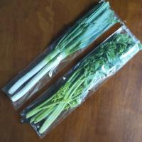 China Custom OPP Packaging Bag Printed Clear Plastic Cellophane Bags For Vegetable for sale