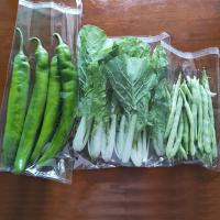 China Custom OPP Packaging Bag Printed Clear Plastic Cellophane Bags For Vegetable for sale