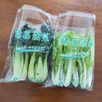 China Custom OPP Packaging Bag Printed Clear Plastic Cellophane Bags For Vegetable for sale