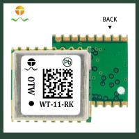 China Dual Frequency RTK GNSS Module WT-11-RK for Surveying Mapping for sale
