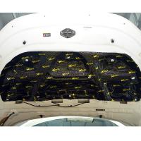 China Polestar Shaped Automotive Noise Reduction Pad - Thermal Insulation Auto Acoustic Pad for NEVs with IATF 16949 & ISO 9001 Certification for sale