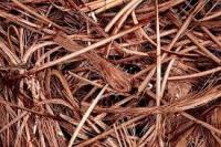 China Beryllium Millberry Red Bare Copper Wire High Strength CuBe2 Uns C17200 Tf00 Th04 for sale