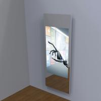 China RFID Reader Touchable Household Workout Mirror Great Size for sale