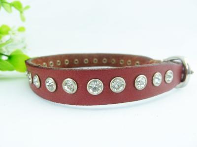 China Premium Dog Leather Diamond Collars 16-24 Inch Neck Size Adjustable for sale