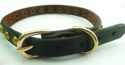 China Durable Pet Leather Collar with Adjustable Buckle 2.5cm Width for Medium Dogs for sale