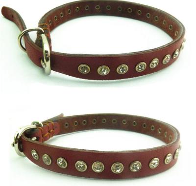 China Heavy Duty Nylon Dog Collar with Reflective Stitching 1.5 Inch Width Adjustable for sale
