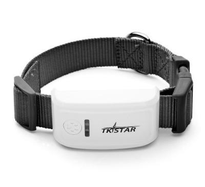 China TKSTAR Mini GPS Pet Tracker with Free App Real-Time Tracking and Long Battery Life for sale