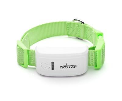 China GPS Tracker Watch for Persons and Pets Real Time Location Waterproof IP67 for sale