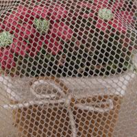 China 100% Polyester 68D Warp Knitted Hexagonal Mesh Fabric 95gsm for Bags Sportswear for sale