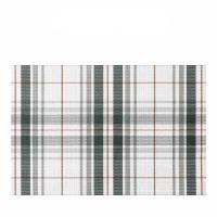 China Food Grade Textilene Placemats 30x45cm Easy Clean PVC Coated Table Mats for sale