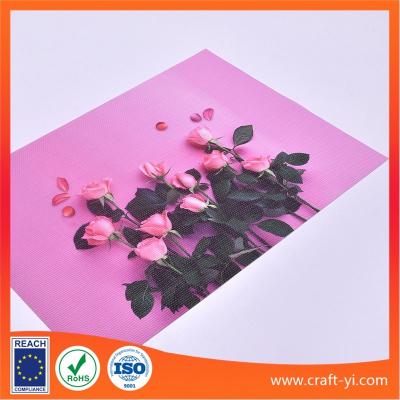 China Textilene Place Mat 300x450 mm Washable Heat Resistant PVC Woven Table Mat for sale