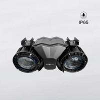 China 2 Eye Blinder COB LED Stage Lighting IP65 2X100W 38 Degree for sale