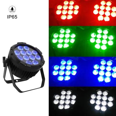 China Waterproof Aluminum RGBW 4in1 LED Par Lights 12*12w Flat Par IP65 for sale