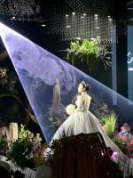 China DJ Marriage Bride Magic Wedding Snow Machine&10W RGB Animation Laser Show Light Haze Machine Combination Rain Effect for sale