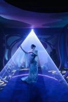 China Wedding Laser Light DMX ILDA RGB Lazer Show Projector 3W 6W 10W Laser Light with Snow Smoke Machine for sale