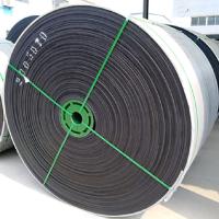 China EP100 EP200 Special Conveyor Belts Chemical Resistant W700mm for sale