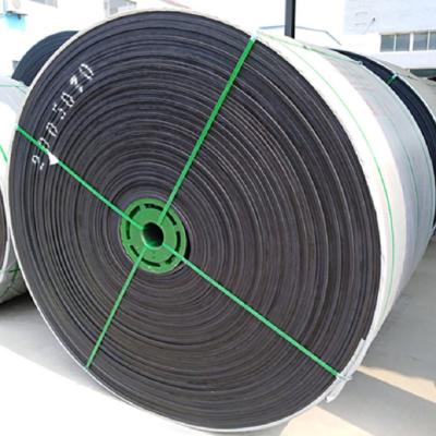 China EP100 EP200 Special Conveyor Belts Chemical Resistant W700mm for sale