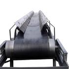 China Anti Burn Special Conveyor Belt NN200 with 1200mm Width and 6mm-30mm Thickness for High Temperature Applications for sale