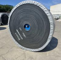 China EP100 EP200 Special Conveyor Belts Chemical Resistant W700mm for sale
