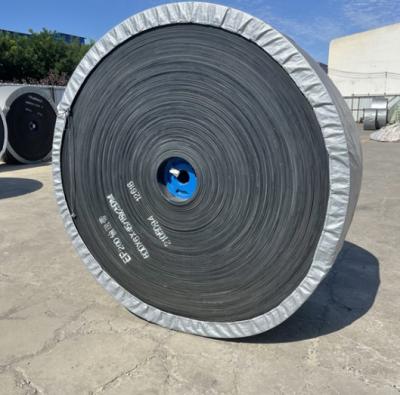 China EP100 EP200 Special Conveyor Belts Chemical Resistant W700mm for sale