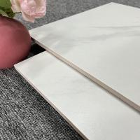 China 300x300mm Bathroom Porcelain Floor Tiles , Carrara Matte White Wall Tiles for sale