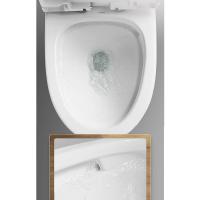 China One Piece Bathroom Ceramic Toilet 4.2 / 6L Dual Siphon Flushing Floor Mounted for sale