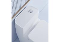 China China Supply Sanitary Ware Bathroom Sanitary Washdown One Piece WC Toilets Sets Bathroom Sanitary Ware for sale