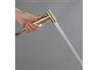 China Modern Hotel Brushed Gold High Pressure Toilet Bidet Shattaf Wall Mounted for sale