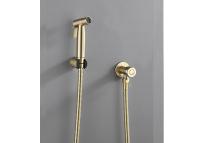 China Modern Hotel Brushed Gold High Pressure Toilet Bidet Shattaf Wall Mounted for sale