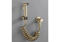China Modern Hotel Brushed Gold High Pressure Toilet Bidet Shattaf Wall Mounted for sale