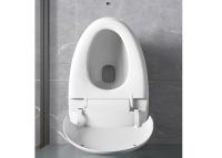 China HOMIXE Bathroom Luxury Sensor Electric Automatic Flush Wc Bidet Ceramic Floor One Piece for sale