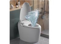 China HOMIXE Bathroom Luxury Sensor Electric Automatic Flush Wc Bidet Ceramic Floor One Piece for sale